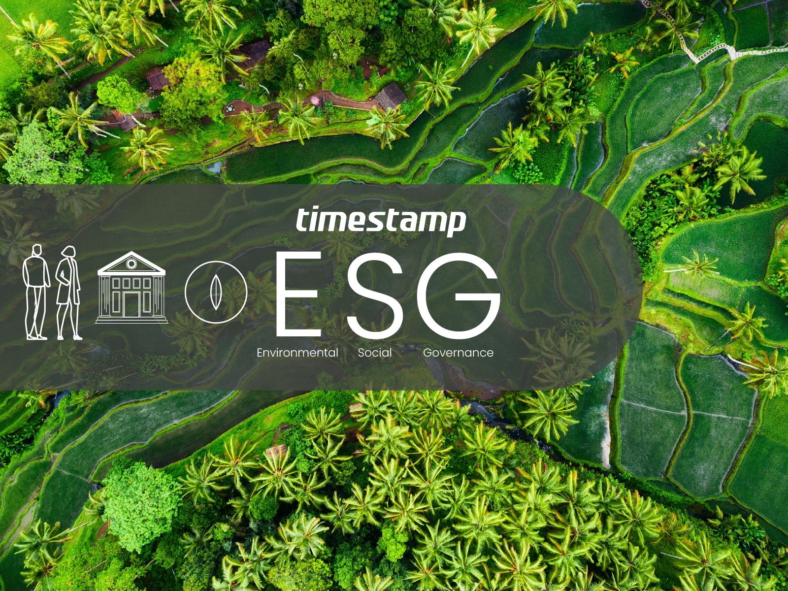 Sustentabilidade empresarial em Portugal: chave ESG, liderança e ...
